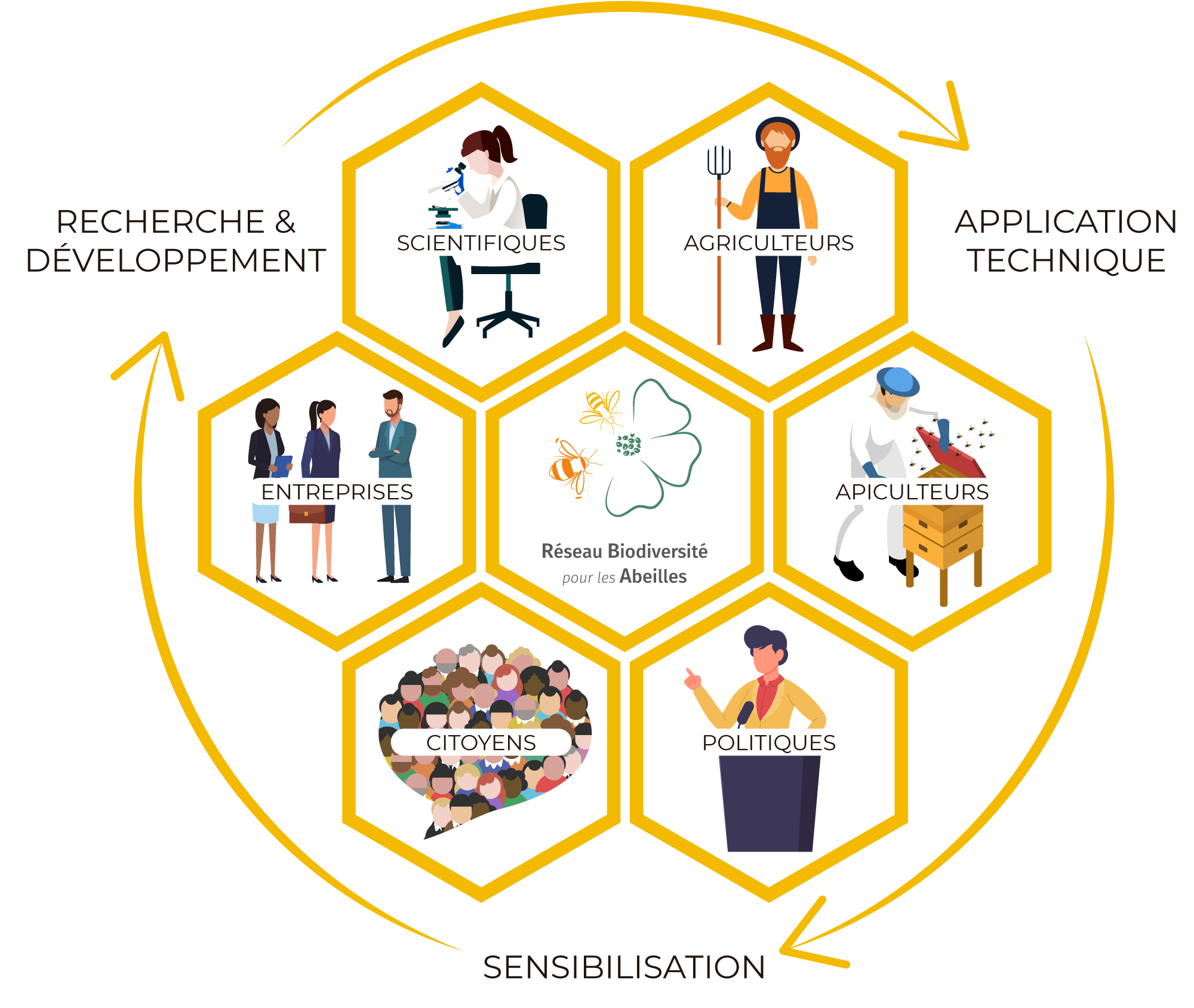 Association Réseau Biodiversité pour les Abeilles (RBA)