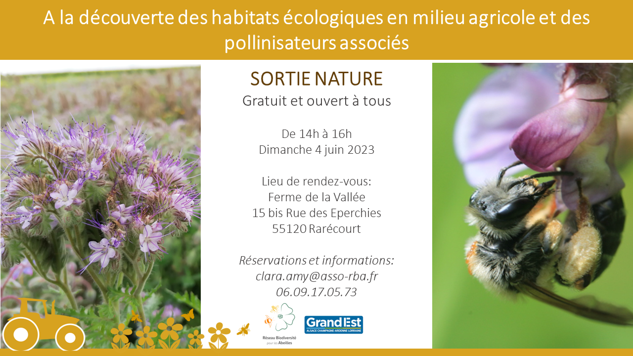 Sortie Nature gratuite le 4 juin 2023 - reseau-biodiversite-abeilles
