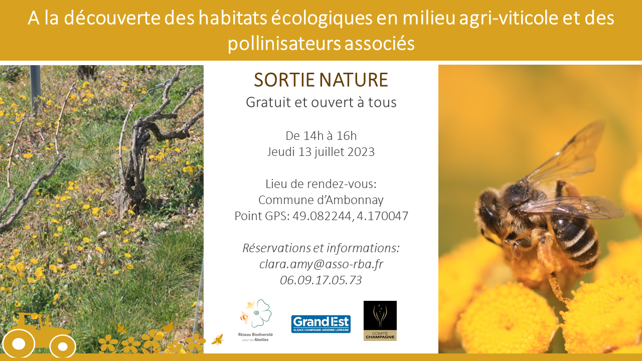 Sortie Nature gratuite le 13 juillet 2023 - reseau-biodiversite-abeilles