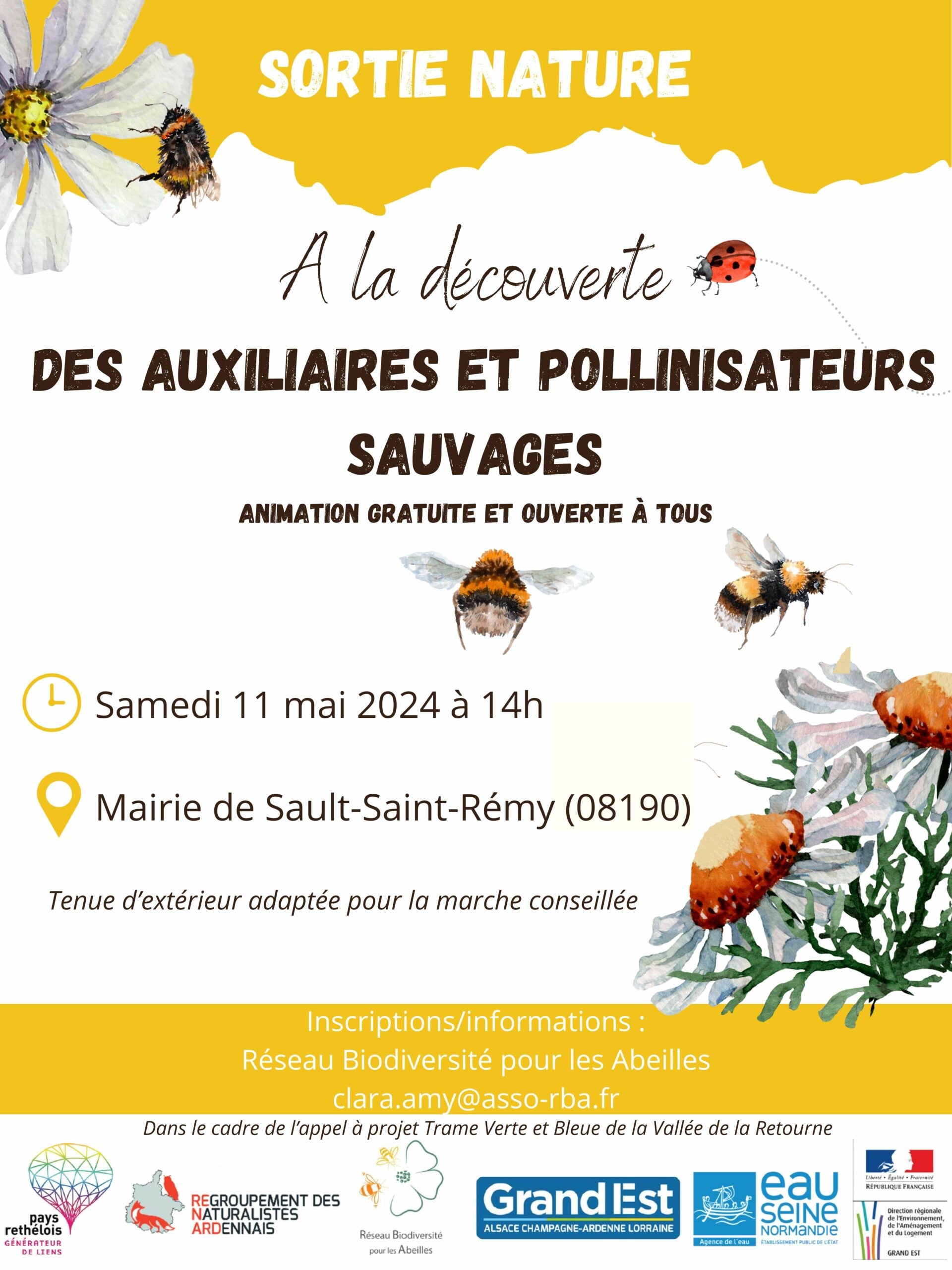 Sortie Nature 11 mai 2024 - reseau-biodiversite-abeilles